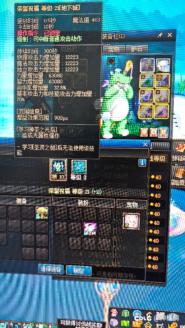 看了热榜，想问问，如果奶爸带风武器，站街面板1w3，你们会放吗？,沃特碧们的Colg,DNF地下城与勇士 - COLG玩家社区