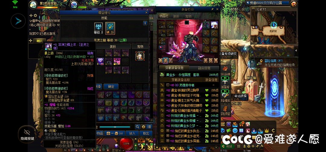 仓鼠向玩家,沃特碧们的Colg,DNF地下城与勇士 - COLG玩家社区